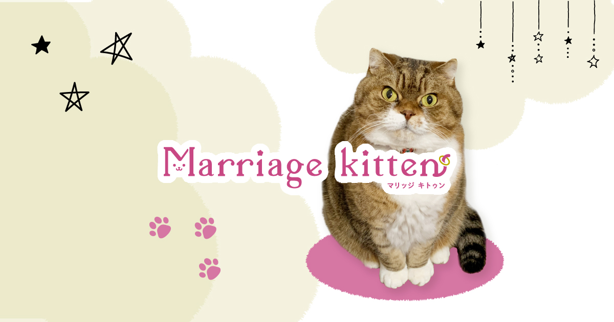 猫好きのための大阪の結婚相談所 Marriage kitten